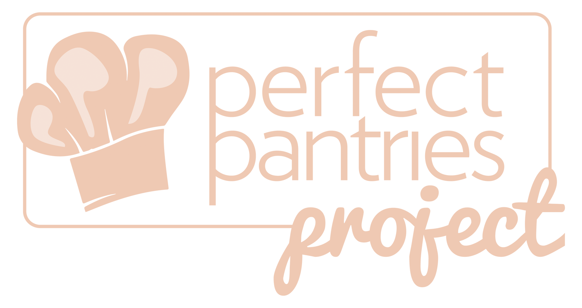 Perfect Pantries Project